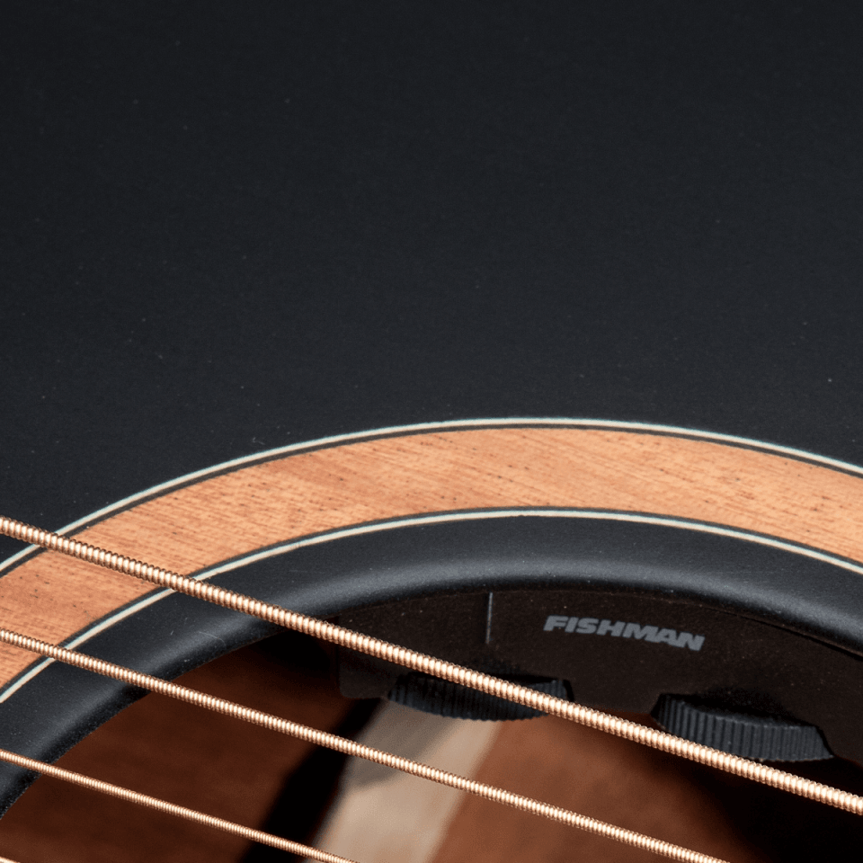 Chitarra acustica cutaway serie SHADOW con preamp Fishman alla buca ...